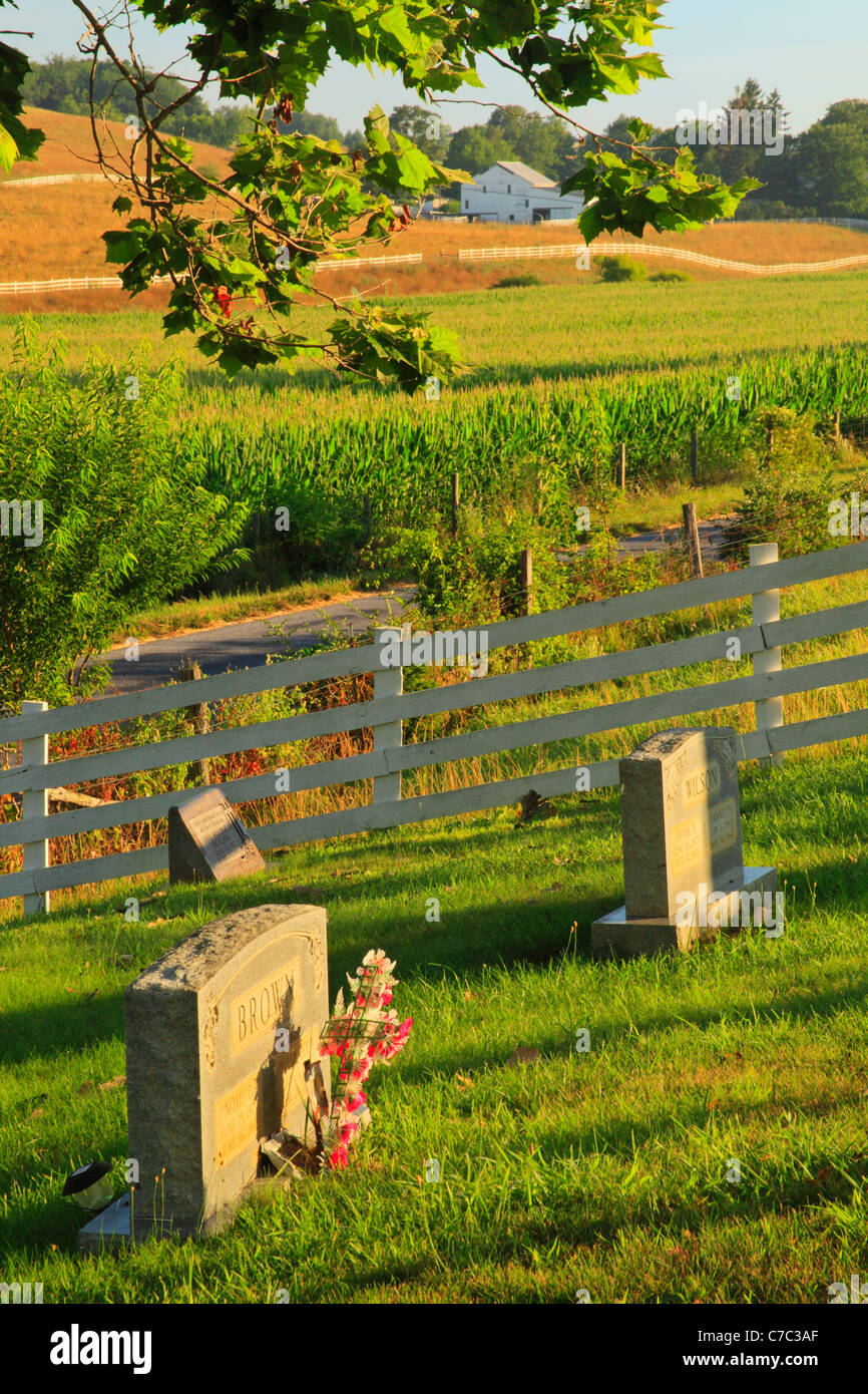 Farm corn and mountains hi-res stock photography and images - Alamy
