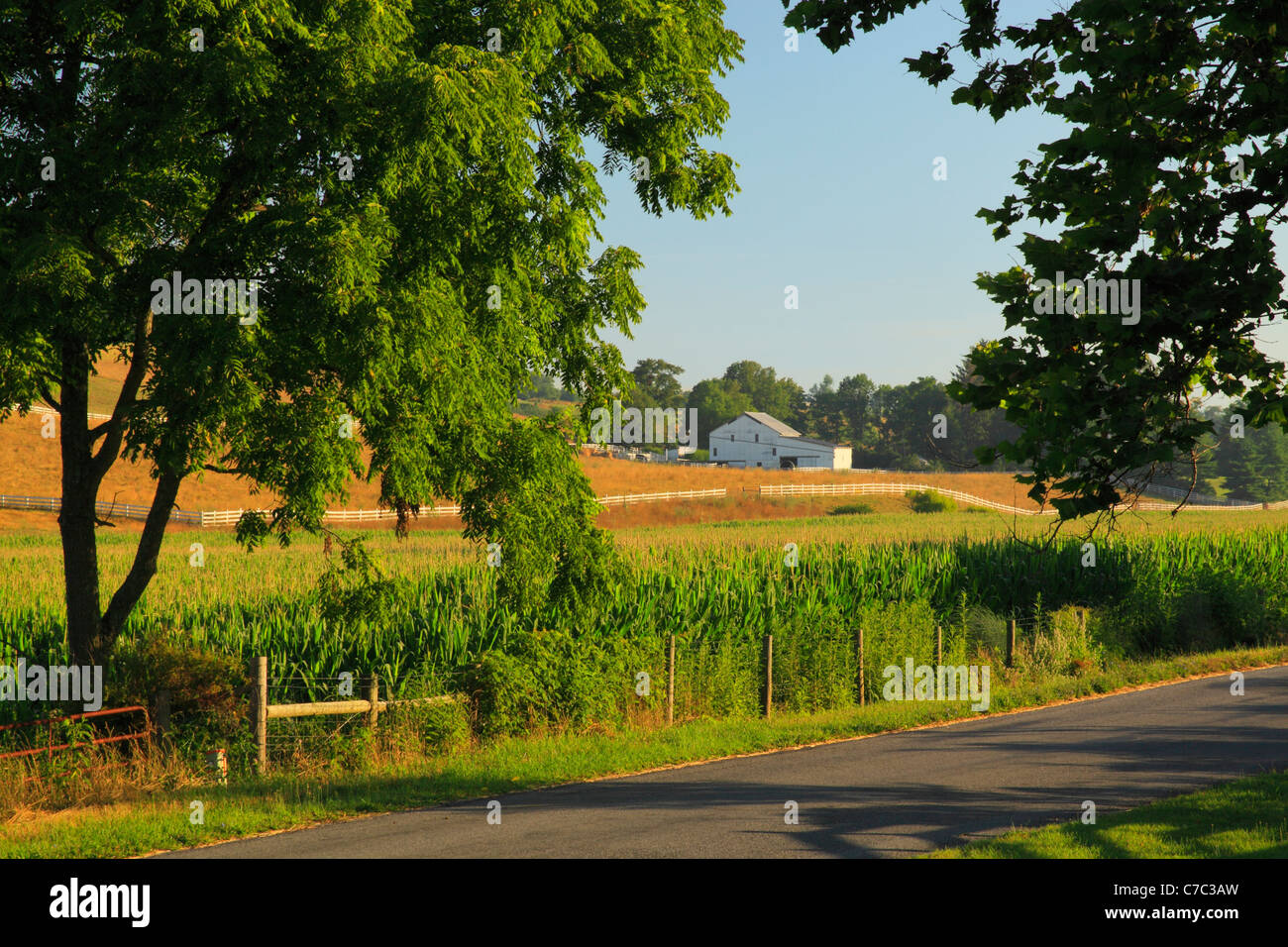 Corn field barn hi-res stock photography and images - Alamy