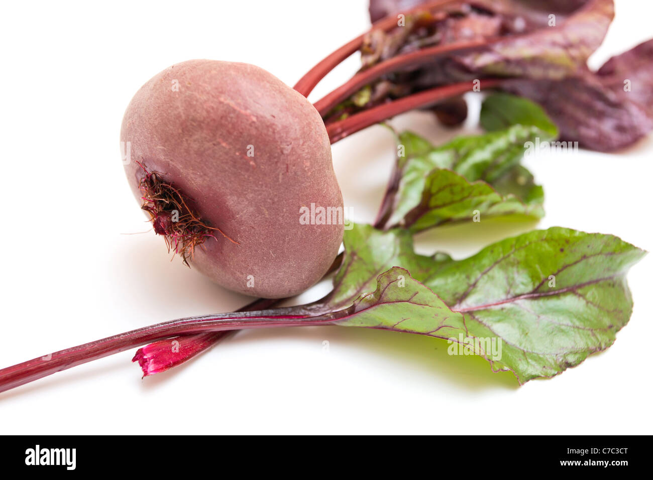 Beet with leaves hi-res stock photography and images - Alamy