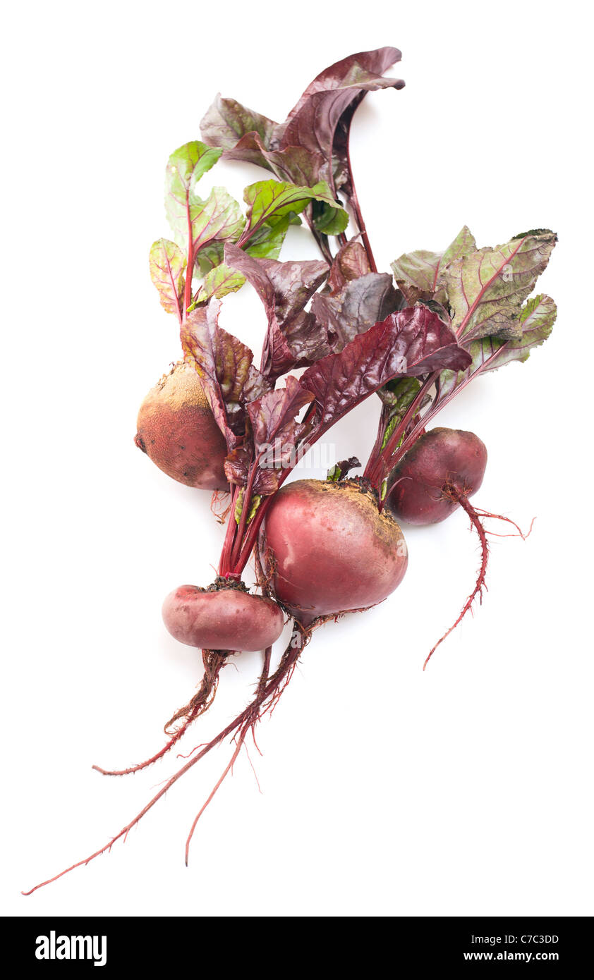 beet with leaves on a white background Stock Photo - Alamy