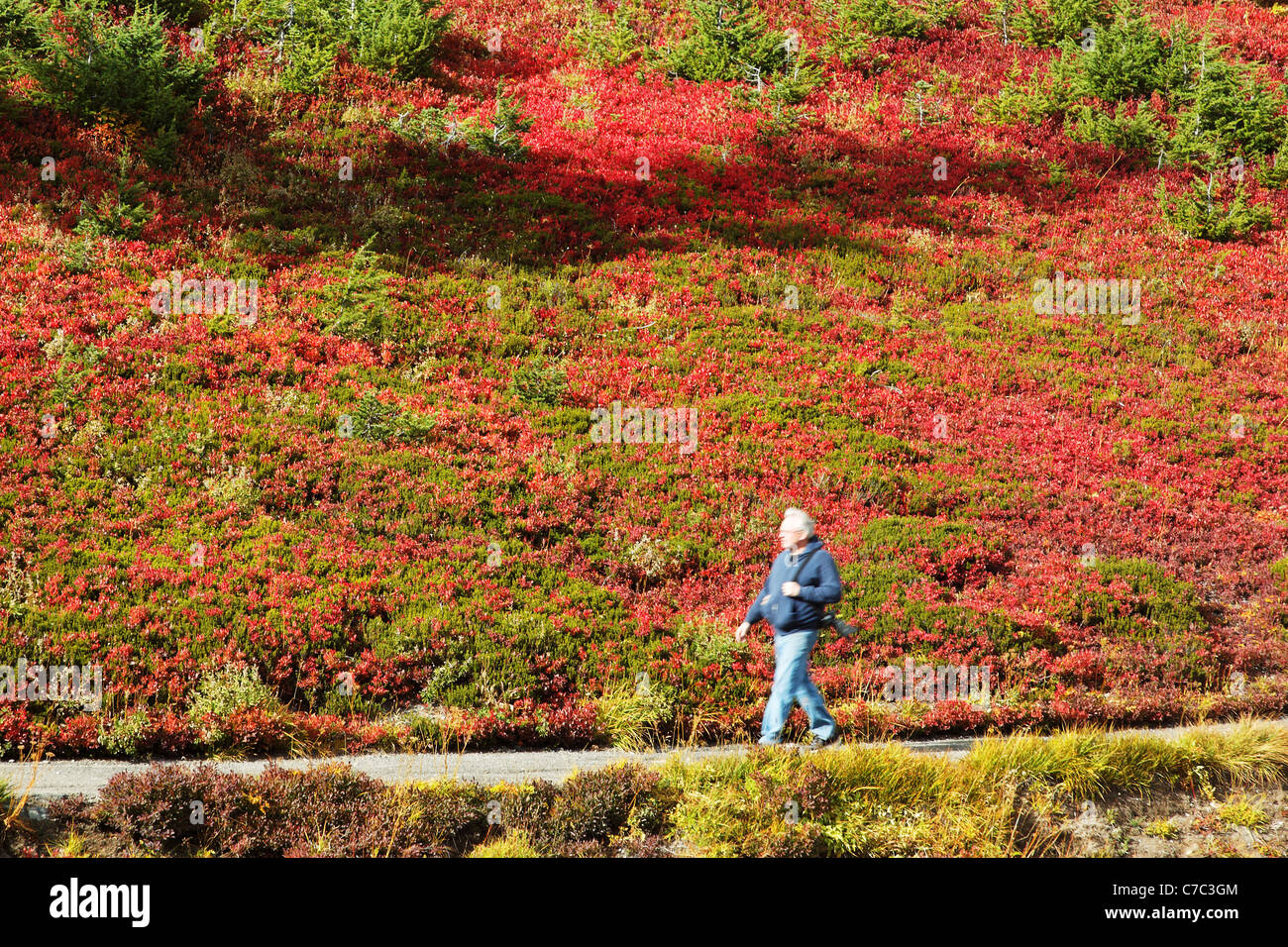 Paradise hike hi-res stock photography and images - Alamy
