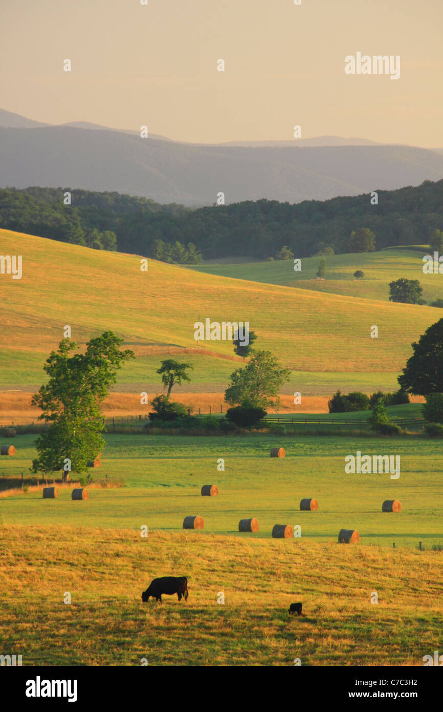 Summer virginia hi-res stock photography and images - Alamy