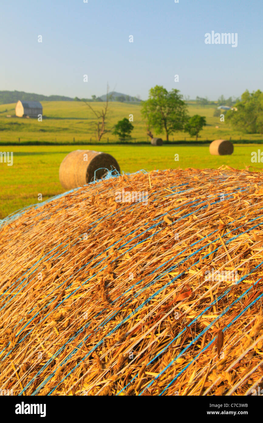 Hay drives hi-res stock photography and images - Alamy