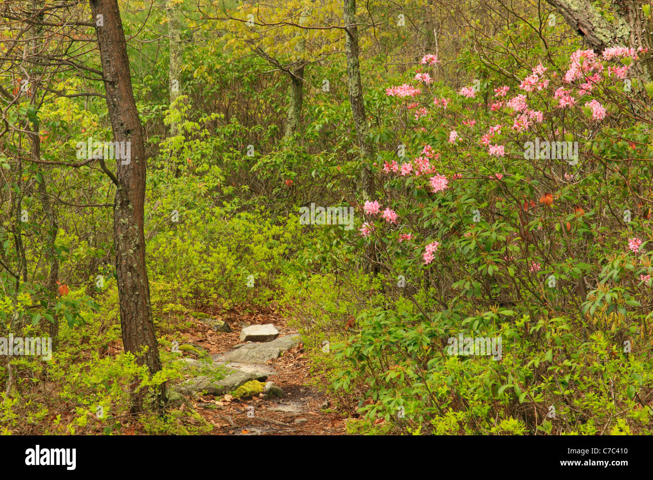 Signal mountain summit trail hi-res stock photography and images - Alamy
