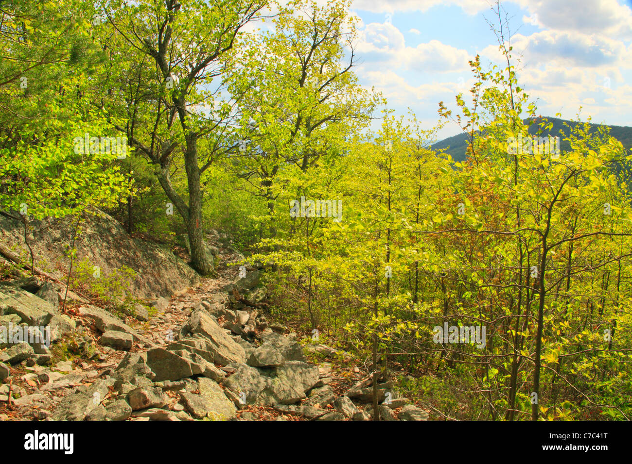 Signal knob hi-res stock photography and images - Alamy