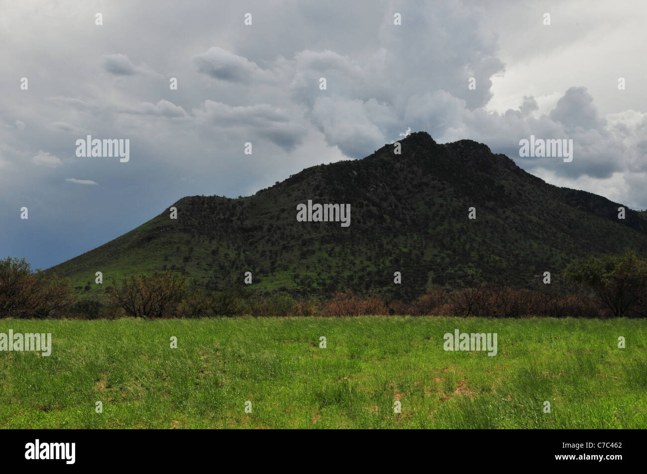 Huachuca Mountains, Coronado National Monument, Coronado National ...