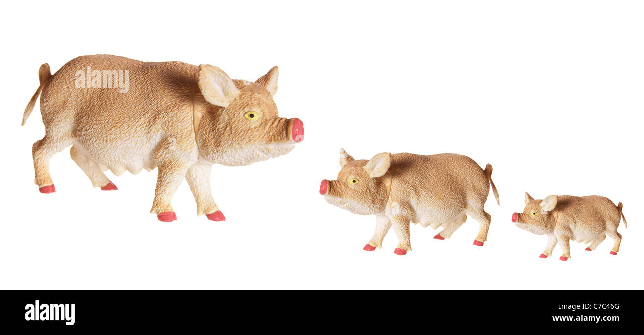 Miniature pig hi-res stock photography and images - Alamy
