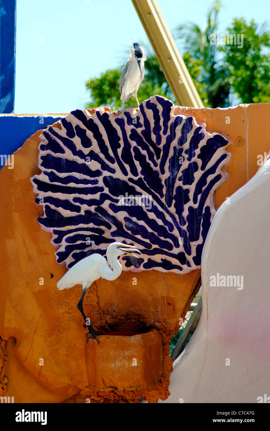 Bird stealing fish hi-res stock photography and images - Alamy