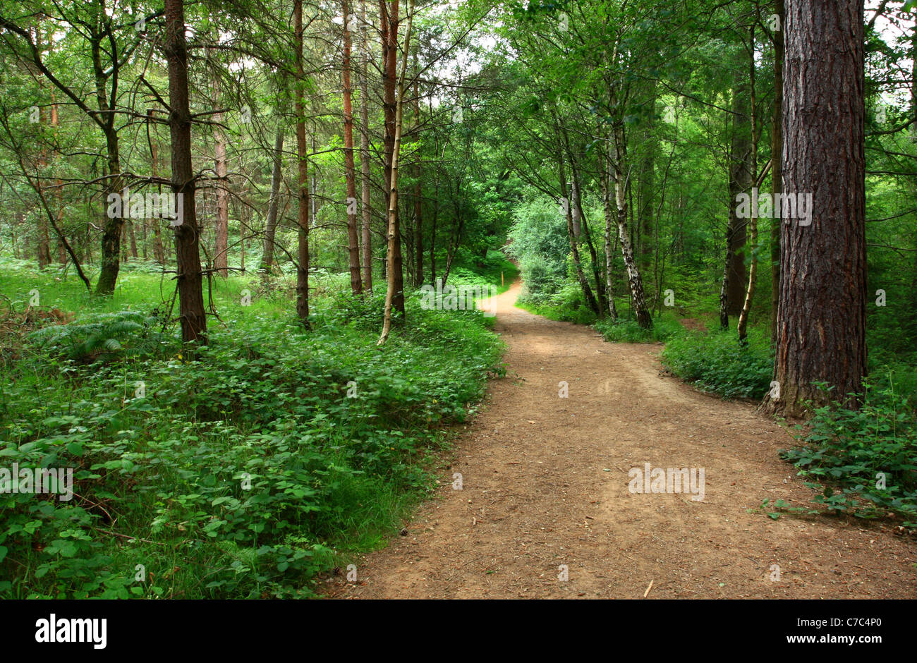 Wyre way hi-res stock photography and images - Alamy