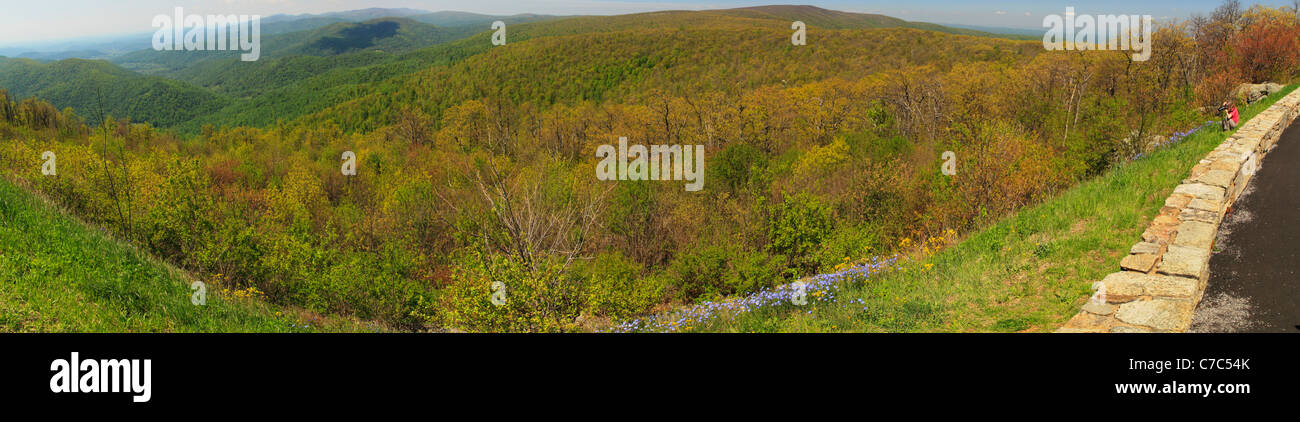 National park wildflowers hi-res stock photography and images - Alamy