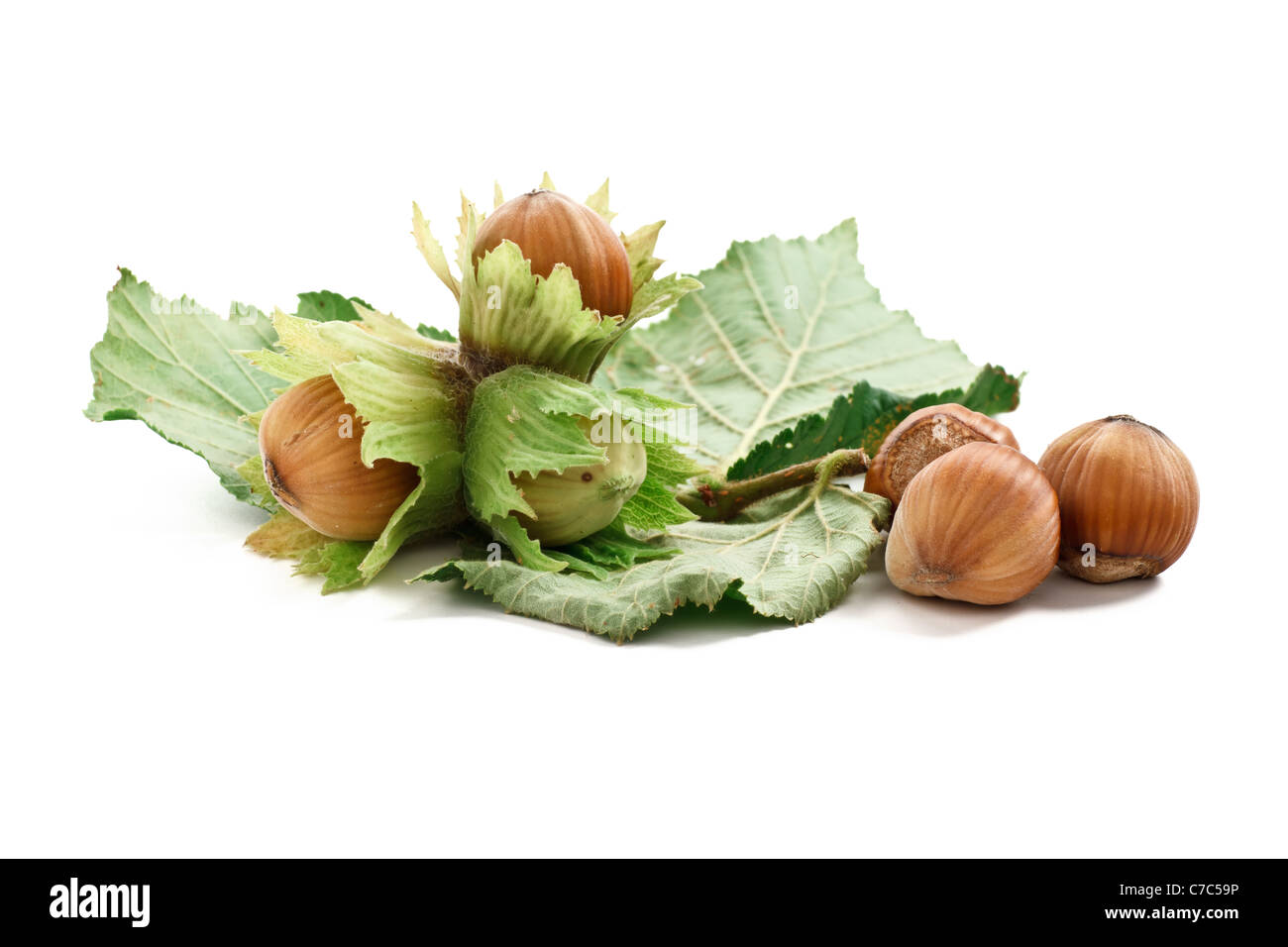 group of filberts with leaves over white background Stock Photo - Alamy