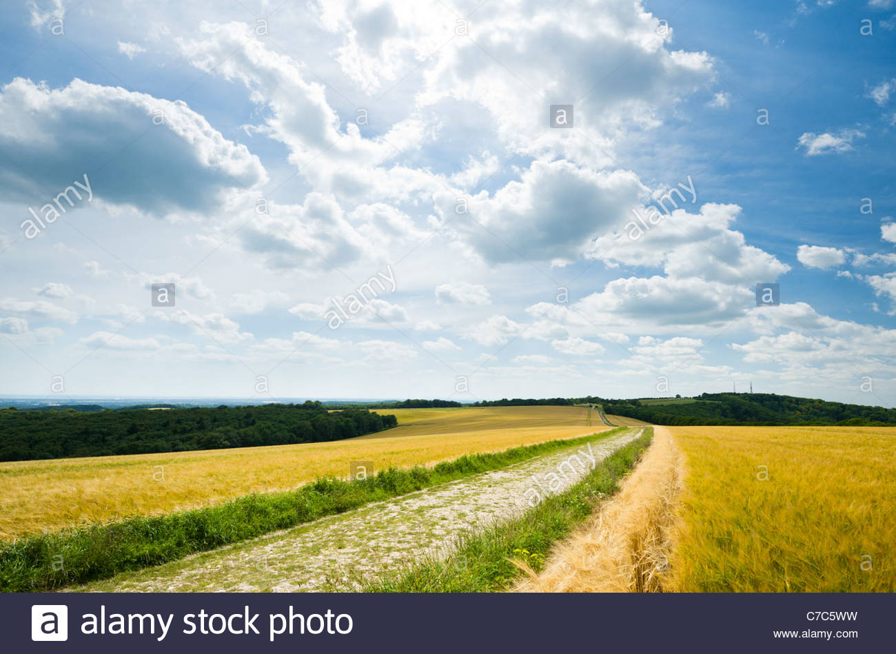Long Distance Walk High Resolution Stock Photography and Images - Alamy