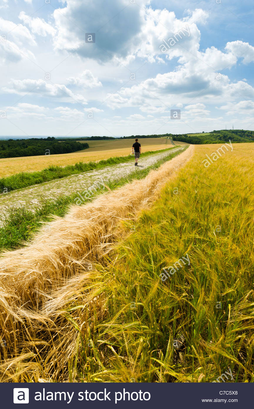 Walking On Country Path Britain High Resolution Stock Photography and ...