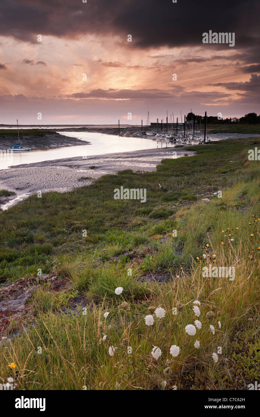 The mouth of the River Brue, near Burnham on Sea Stock Photo - Alamy