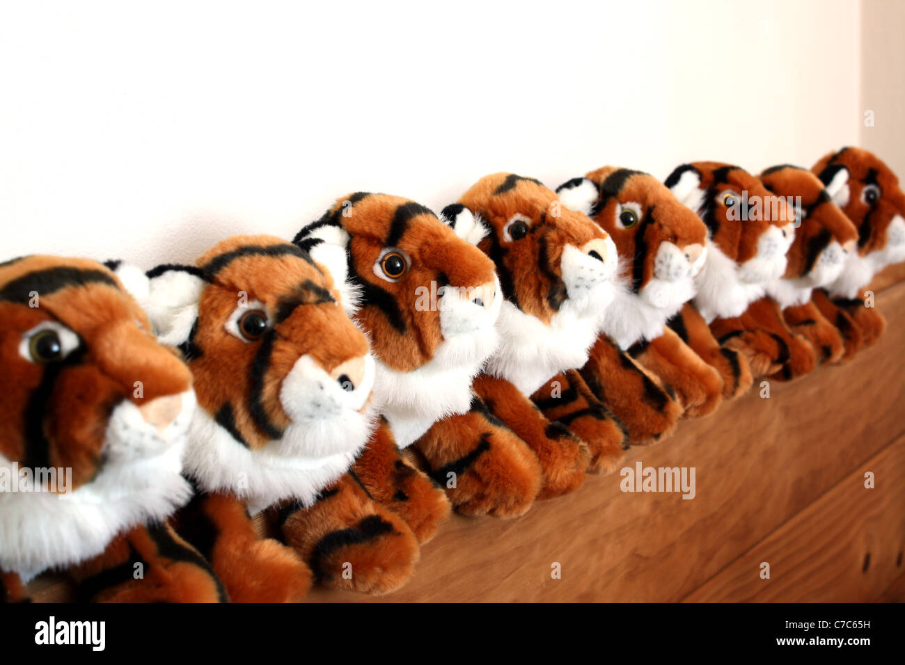 Eight stuffed tiger toys lined up in a row Stock Photo - Alamy