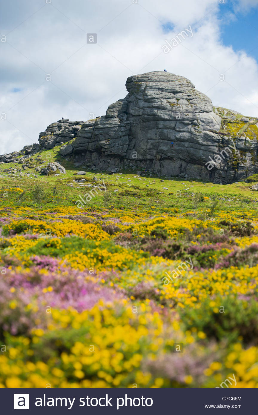Dartmoor Tor High Resolution Stock Photography and Images - Alamy