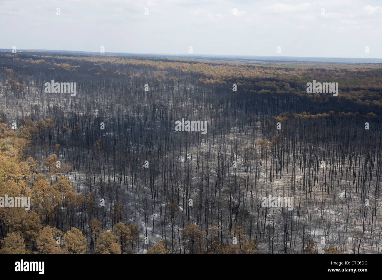 Aerial shows wildfire damage to the forest in and around Bastrop State ...