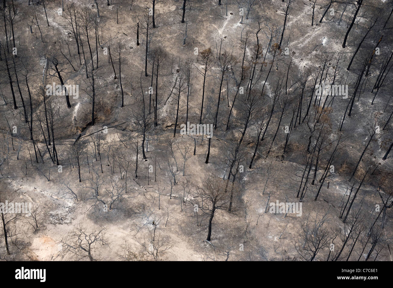 Aerial shows wildfire damage to the forest in and around Bastrop State ...
