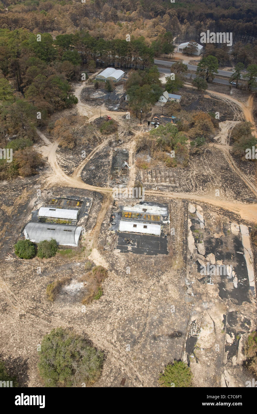 Aerial shows wildfire damage to the forest in and around Bastrop State ...
