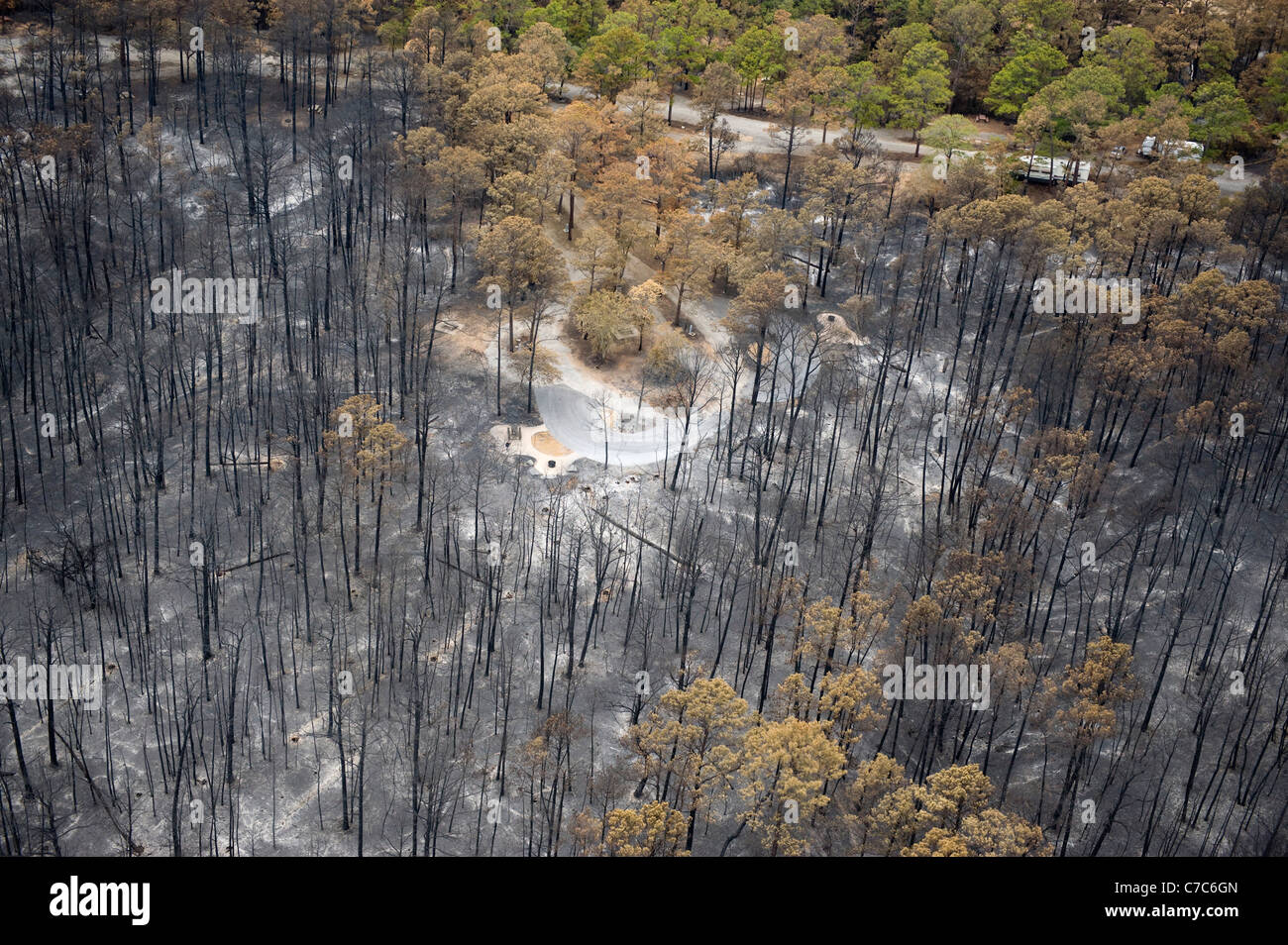 Forest Fire Aftermath Aerial
