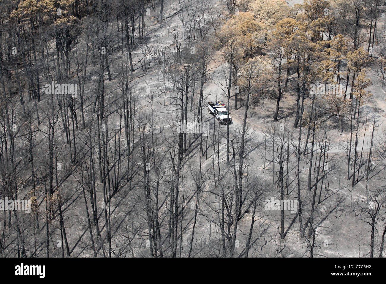 Aerial of wildfire damage in Bastrop County, TX shows burned-out pine ...