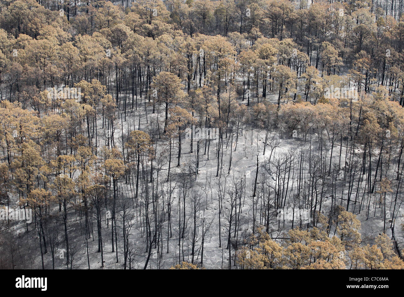 Aerial of fire damage in Bastrop County, Texas, where wildfires burned ...