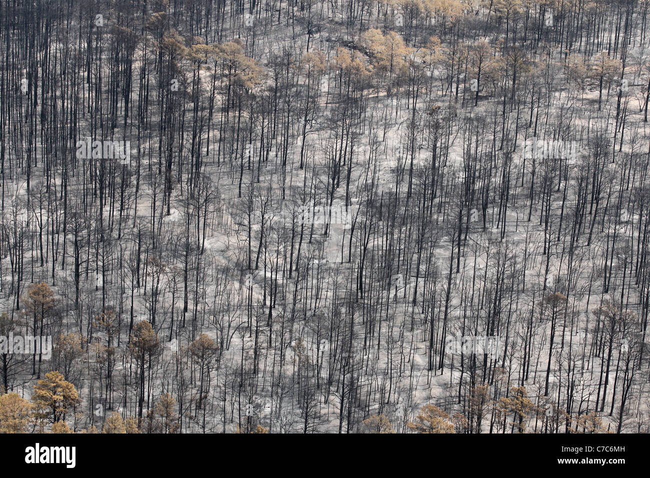 Aerial of fire damage in Bastrop County, Texas, where wildfires burned ...