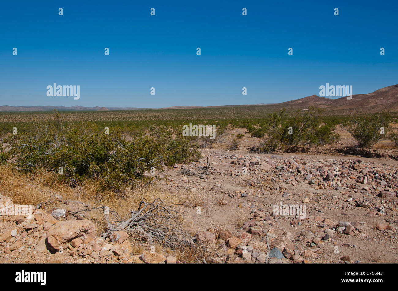 Mojave Desert, California, USA Stock Photo - Alamy
