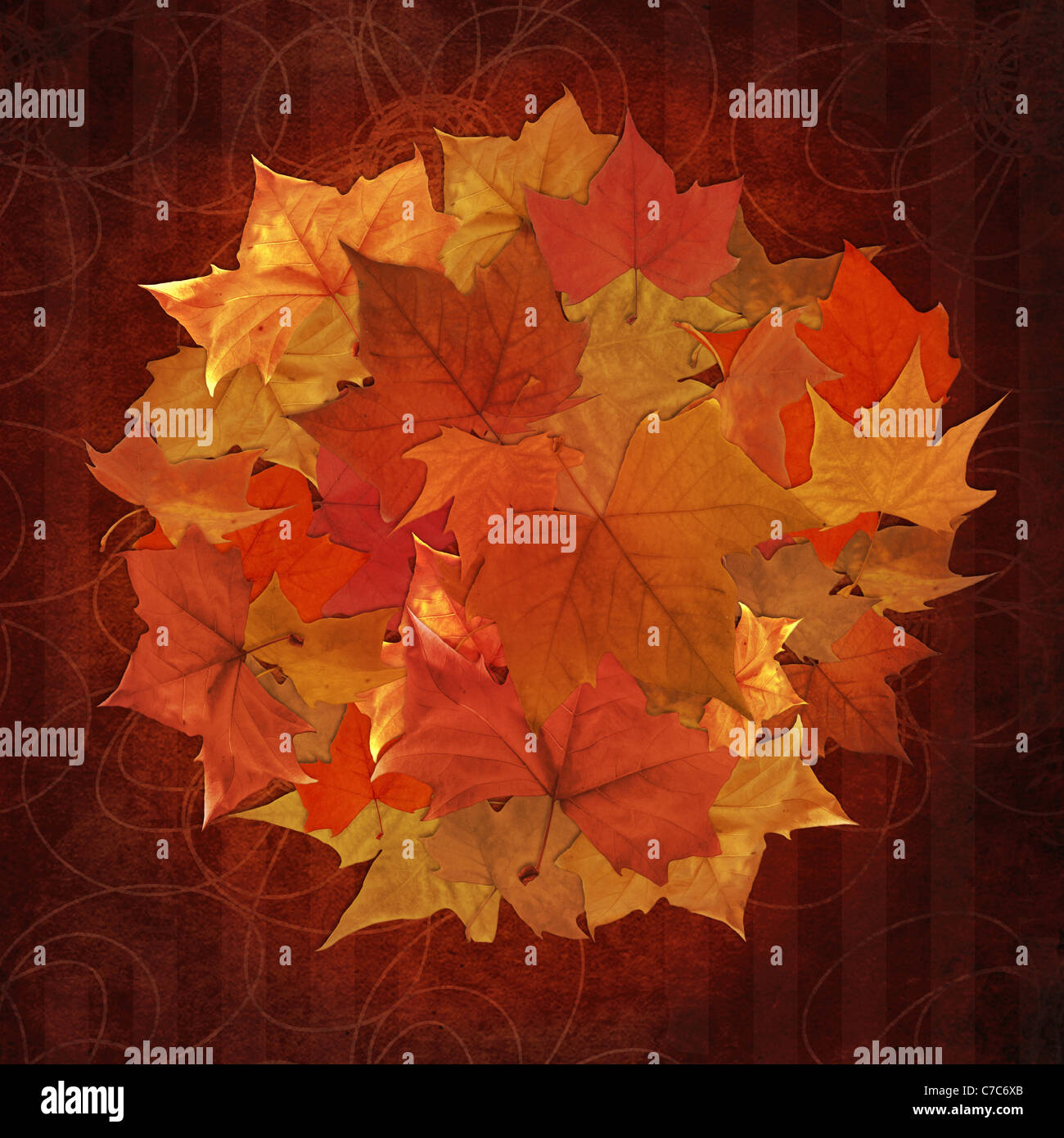 Autumn leaf in circle shape collage over vintage pattern background ...