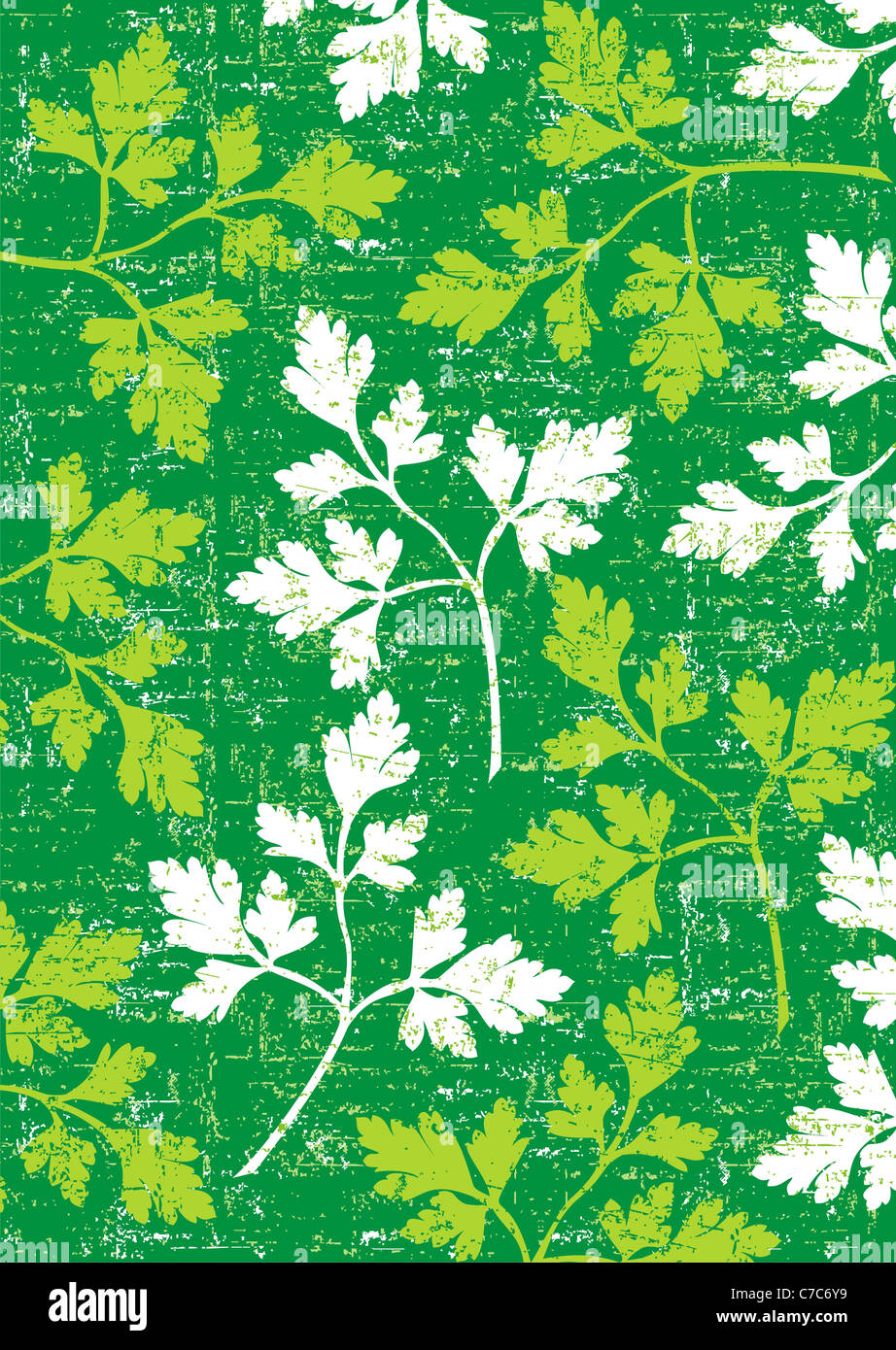 Parsley wallpaper vertical on green background Stock Photo - Alamy