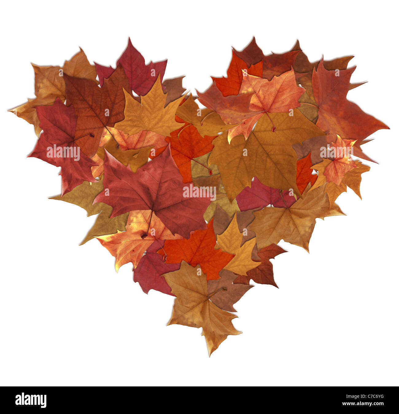 Fall leaf lot in heart shape over white Stock Photo - Alamy