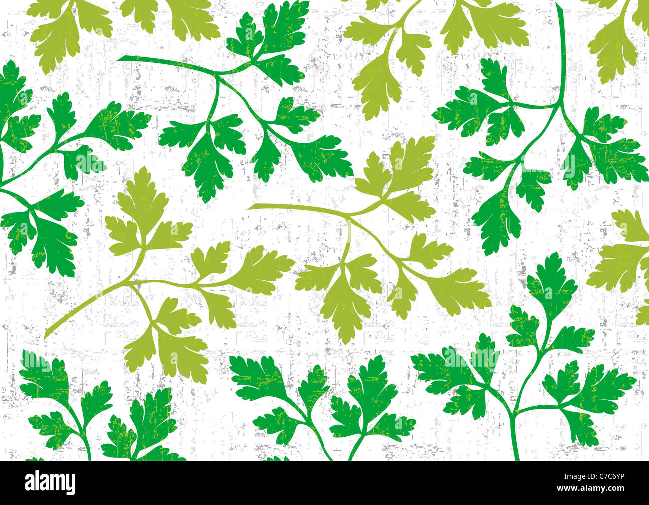 Parsley wallpaper vertical on white background Stock Photo - Alamy