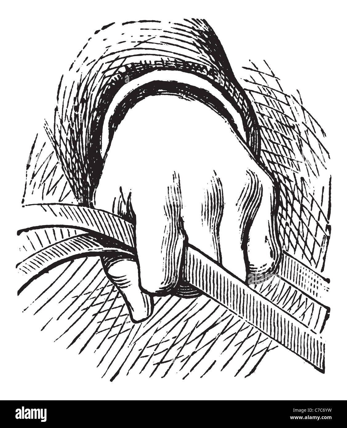 How to hold the reins of horse in simple riding, vintage engraving. Old ...