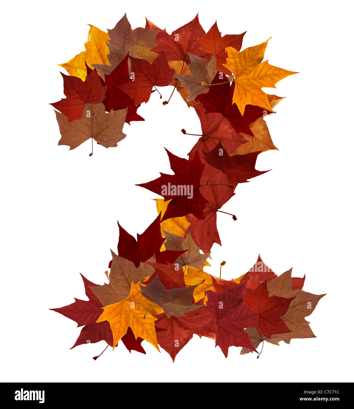 Number 2 made with autumn leaves isolated on white with clipping path ...