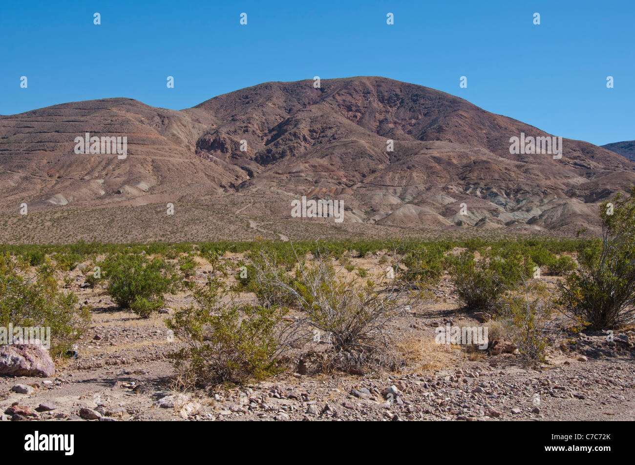 Mojave Desert, California, USA Stock Photo - Alamy