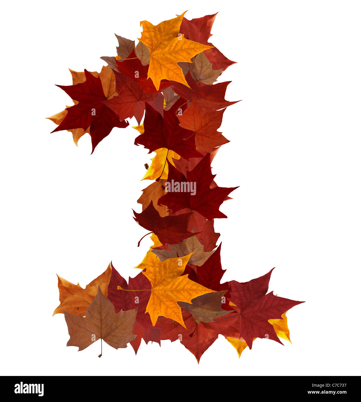 Number 1 made with autumn leaves. Isolated on white with clipping path ...