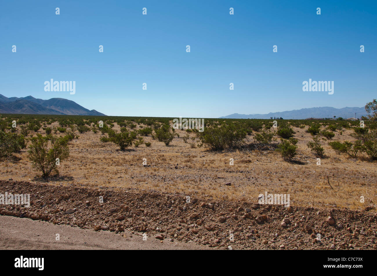 Mojave Desert, California, USA Stock Photo - Alamy