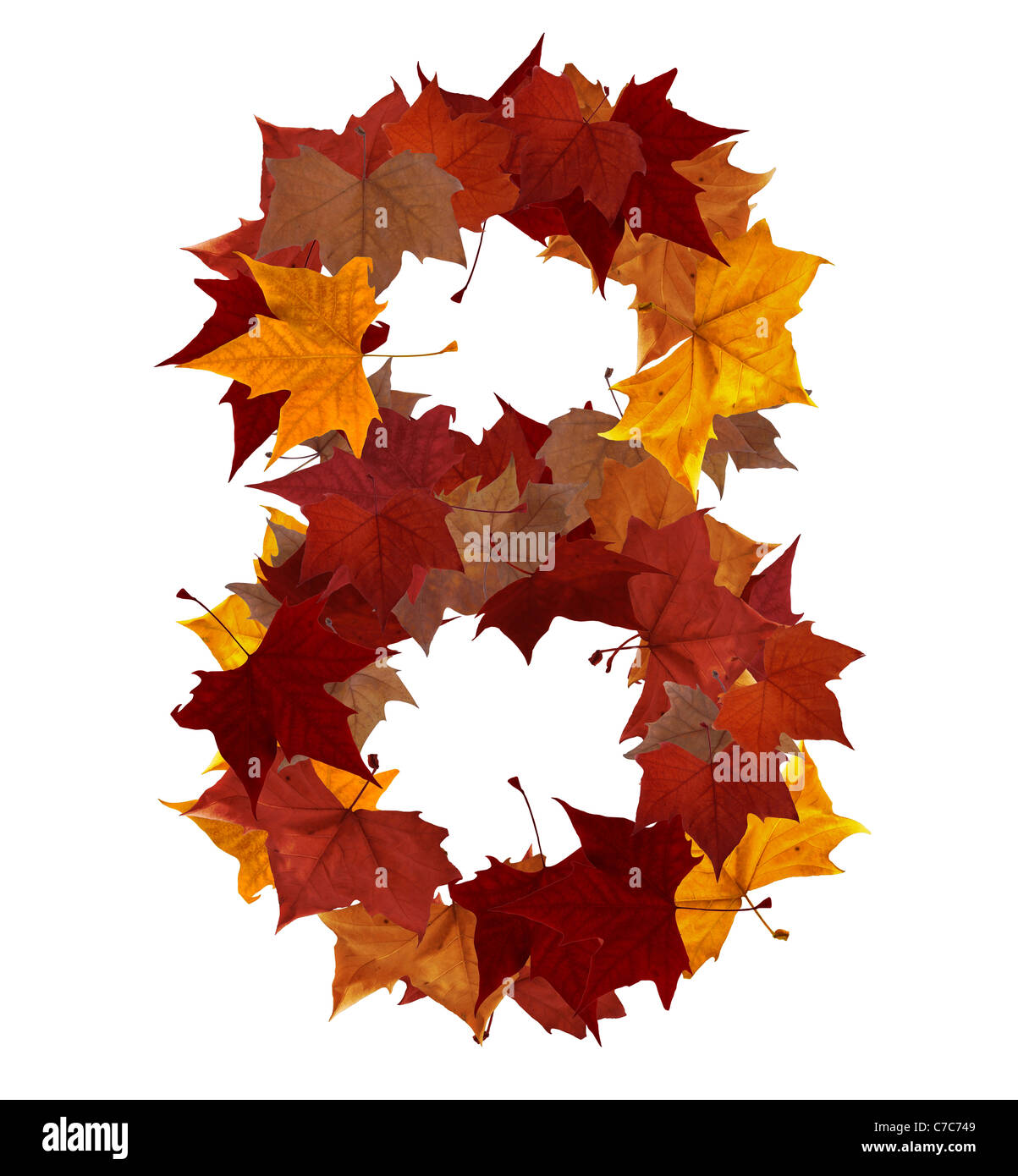 Number 8 made with autumn leaves isolated on white with clipping path ...