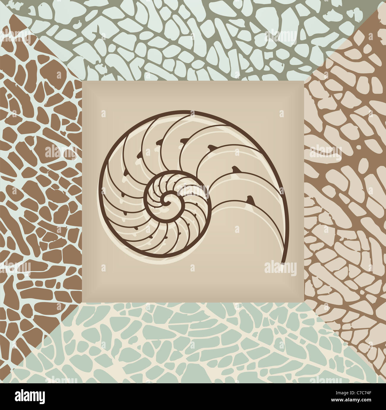 Nautilus shell illustration on brown and beige background Vector ...
