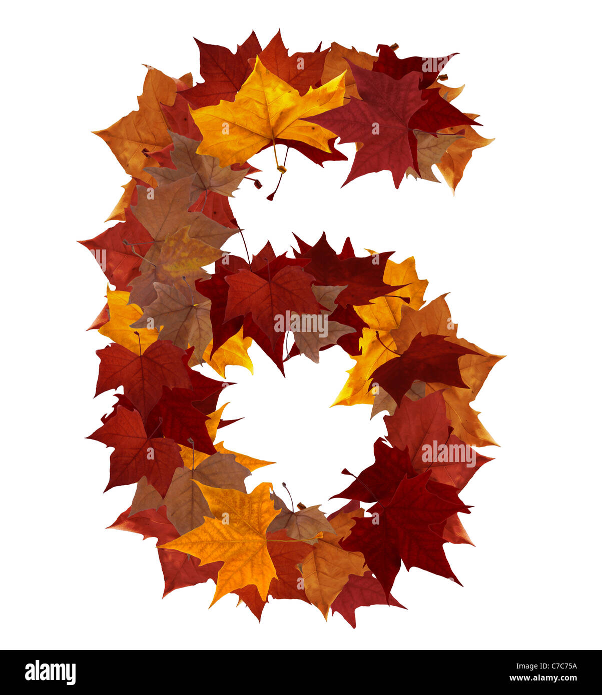Number 6 made with autumn leaves isolated on white with clipping path ...