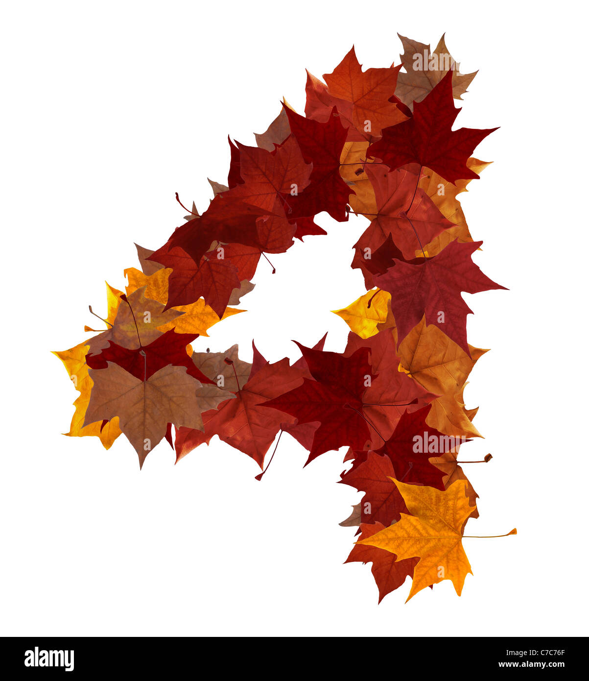 Number 4 made with autumn leaves isolated on white with clipping path ...