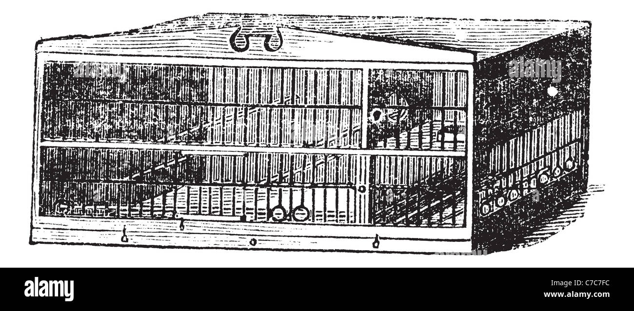 The compartment of cage, vintage engraving. Old engraved illustration ...