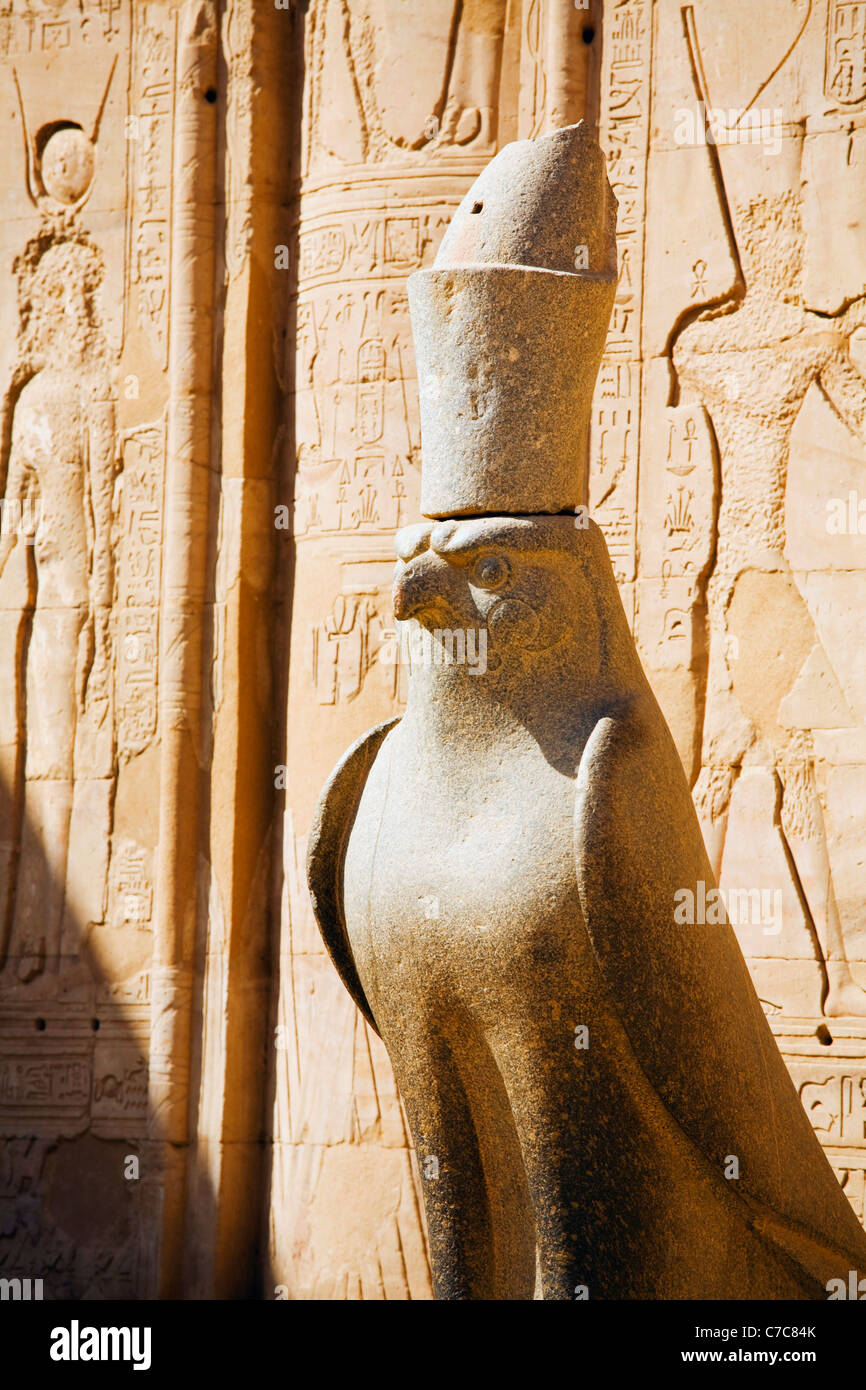 Horus falcon statue at temple of horus in edfu hi-res stock photography ...