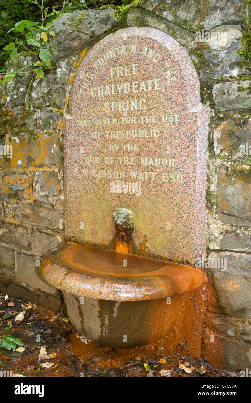 Chalybeate spring wales hi-res stock photography and images - Alamy