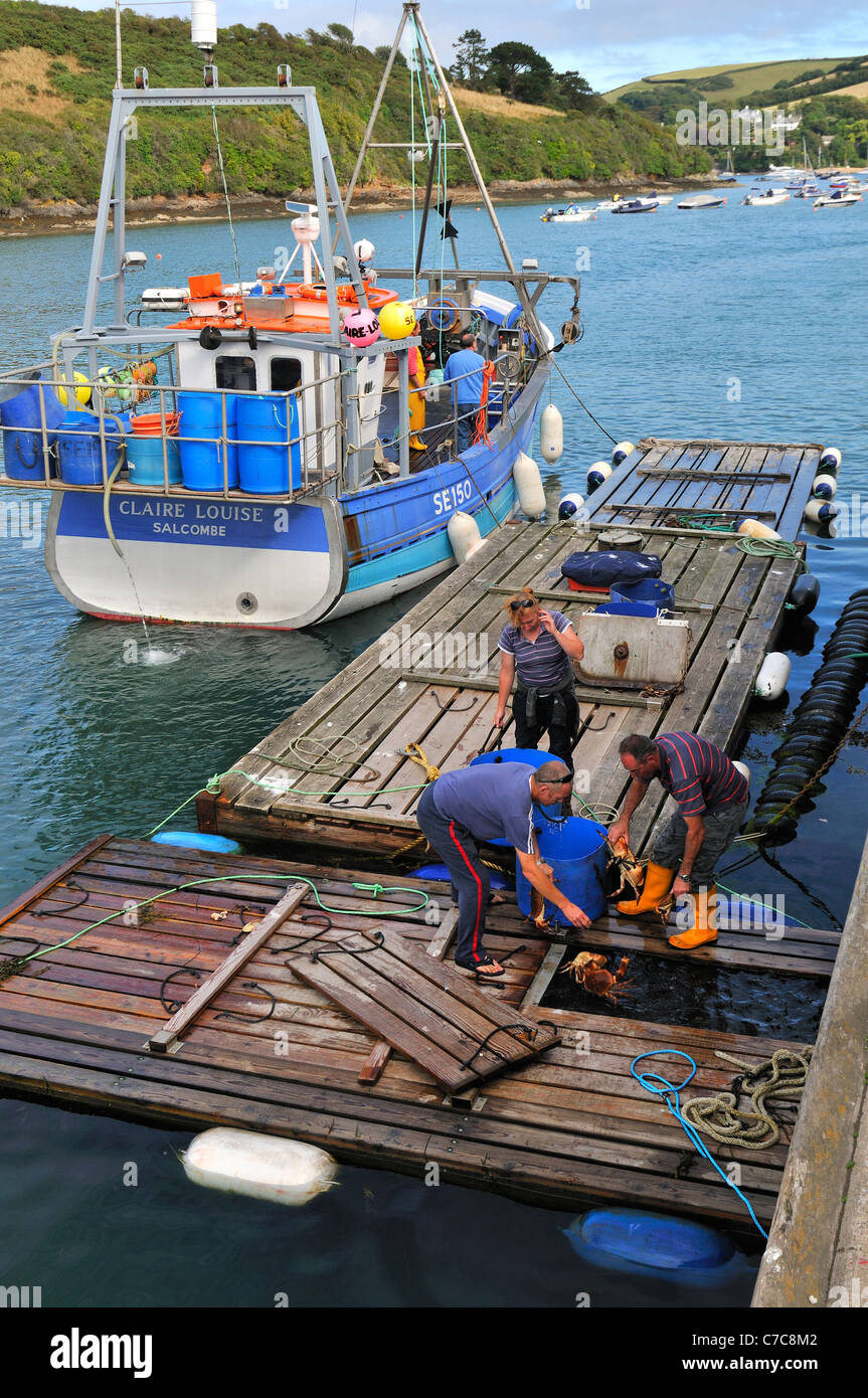Devon uk fishing occupation hi-res stock photography and images - Alamy