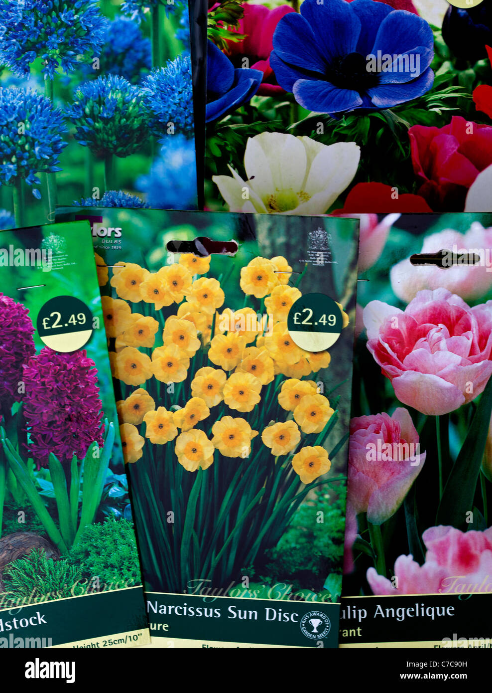 Spring flowering bulbs hi-res stock photography and images - Alamy
