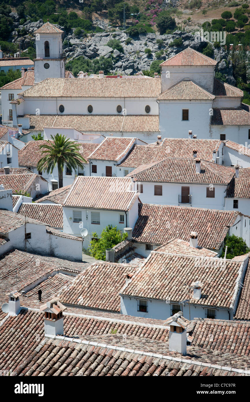 Roofs of houses in a small Spanish village in the Sierra de Cadiz, in ...