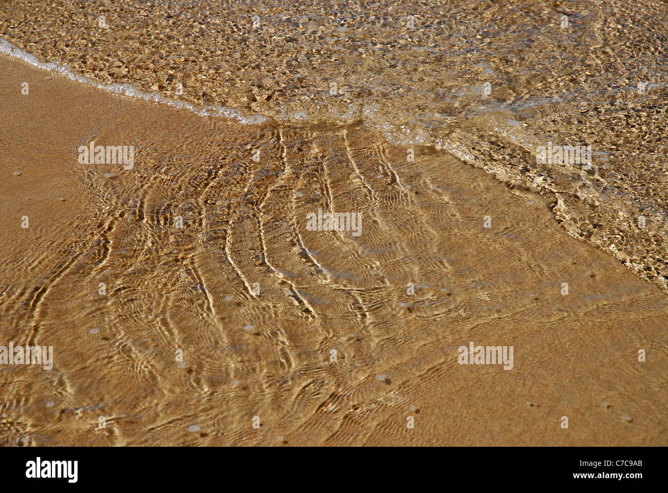 ripples in shallow water at water's edge, caused by outgoing tide ...