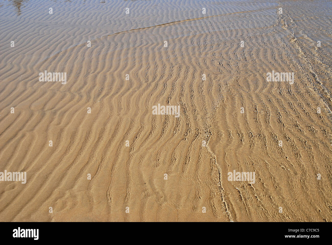 ripples in wet sand caused by outgoing tide, Florence Bay, Magnetic ...
