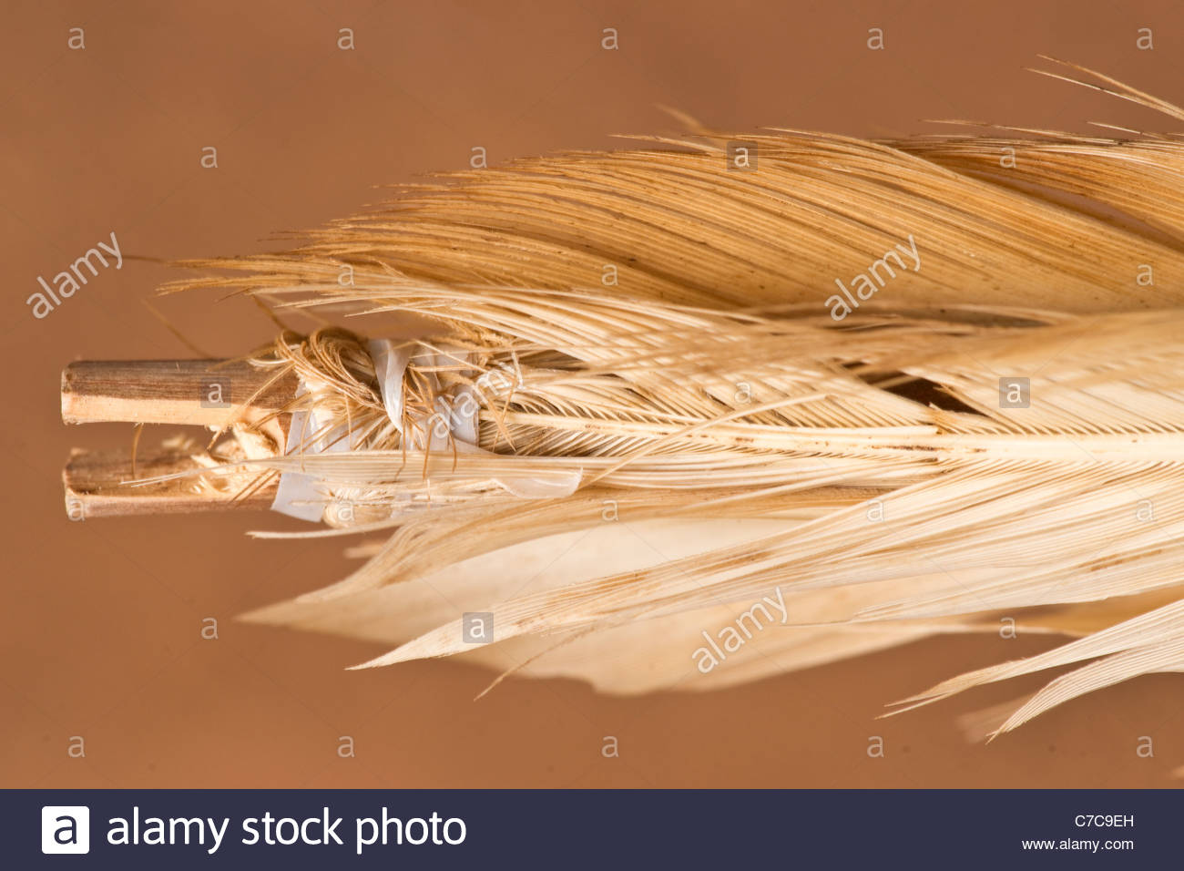 Africa Bow Hunting Ancient High Resolution Stock Photography and Images ...